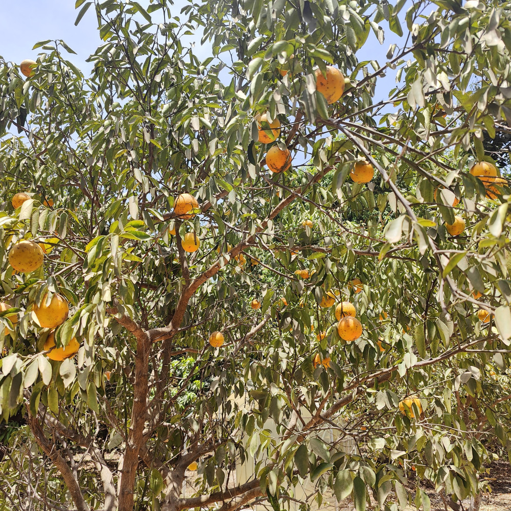 Nicky's Story: From the UK to Prague, to Harare Following God's ...